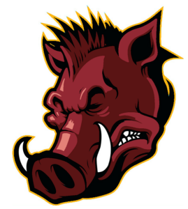 Washington Football Team New Name 2022: What Will It Be?